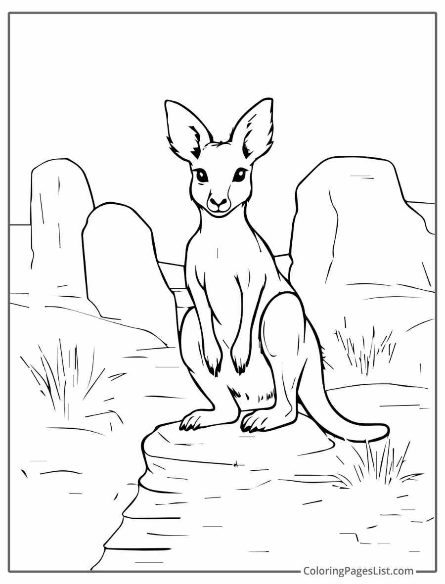 20 Kangaroo Coloring Pages (Free Printable PDFs) | Coloring Pages List